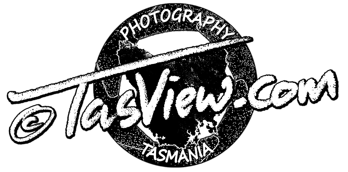 New TasView logo/watermark design – TasView