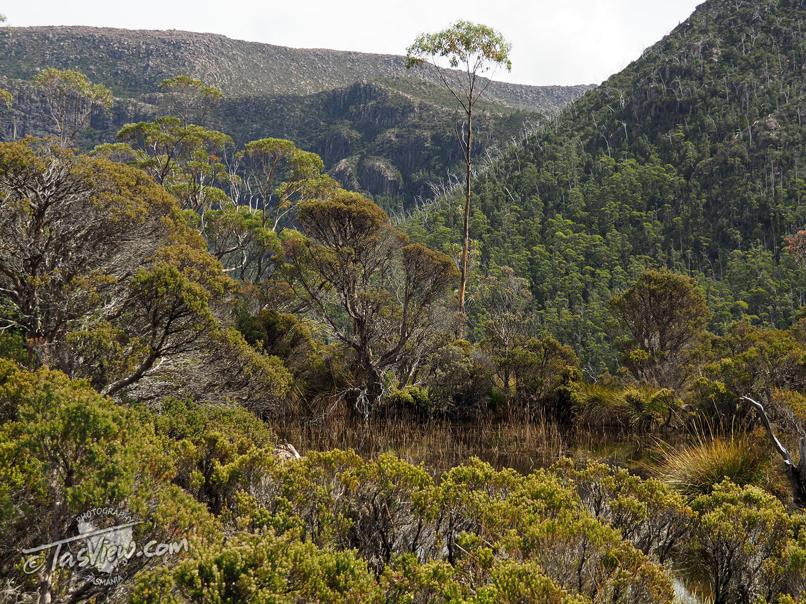 Tasmanian Tarn trek – TasView