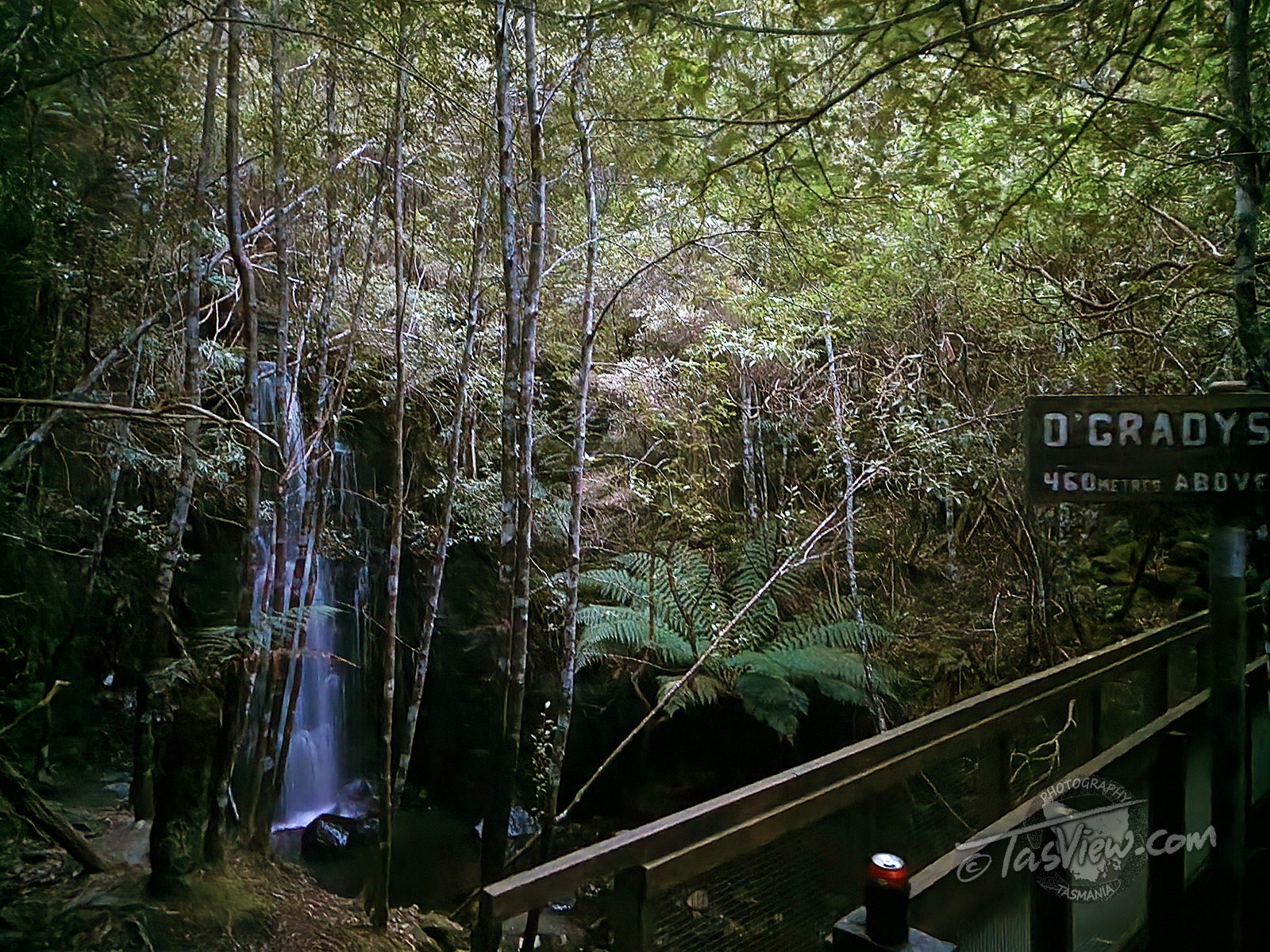 Mountain adventure – TasView